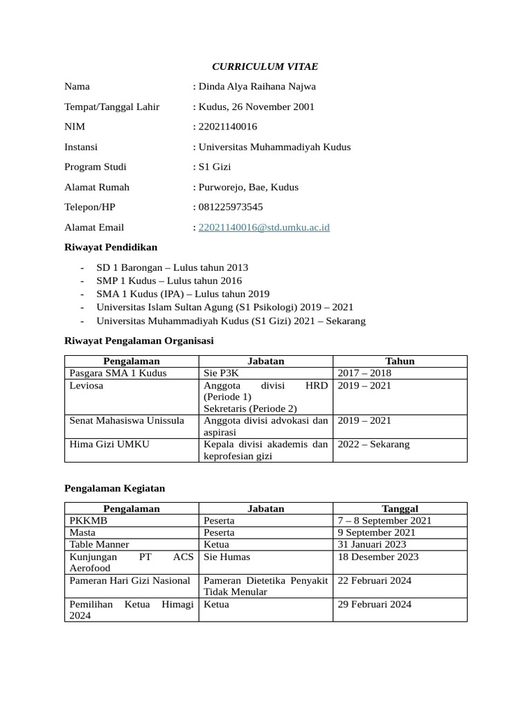 CV Dinda Terbaru | PDF