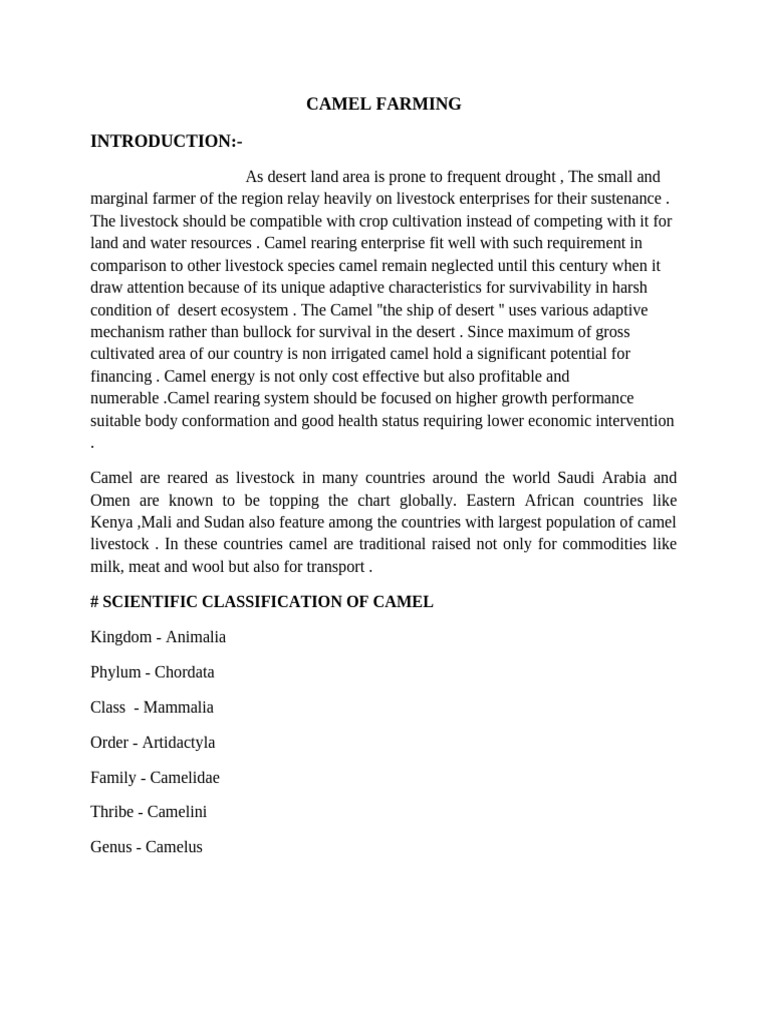 Camel Farming | PDF | Camel | Livestock