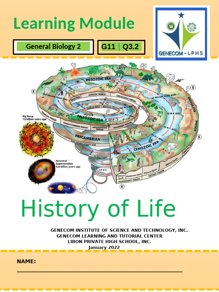 GR11 Q3W02D00 X ST4 00 SLM LR | PDF | Natural Selection | Evolution