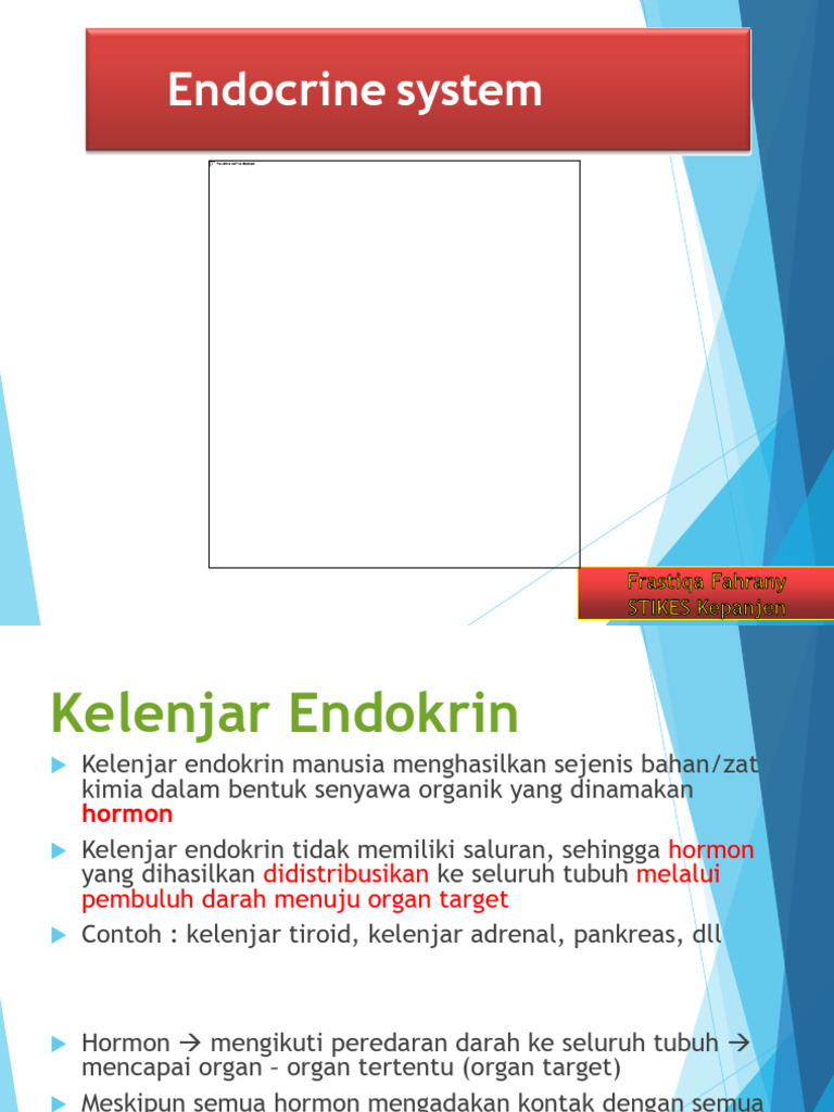 Sistem endokrin (hormon) rev - 2022 | PDF