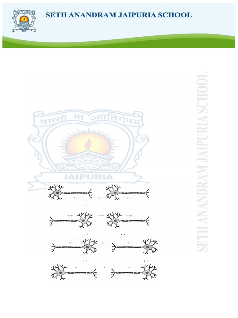 Control and coordination worksheet | PDF | Hormone | Neuroscience