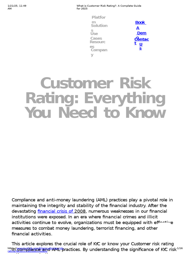 What Is Customer Risk Rating - A Complete Guide For 2025 | PDF ...