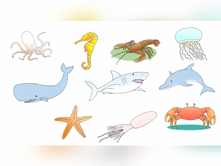 Fish | PDF