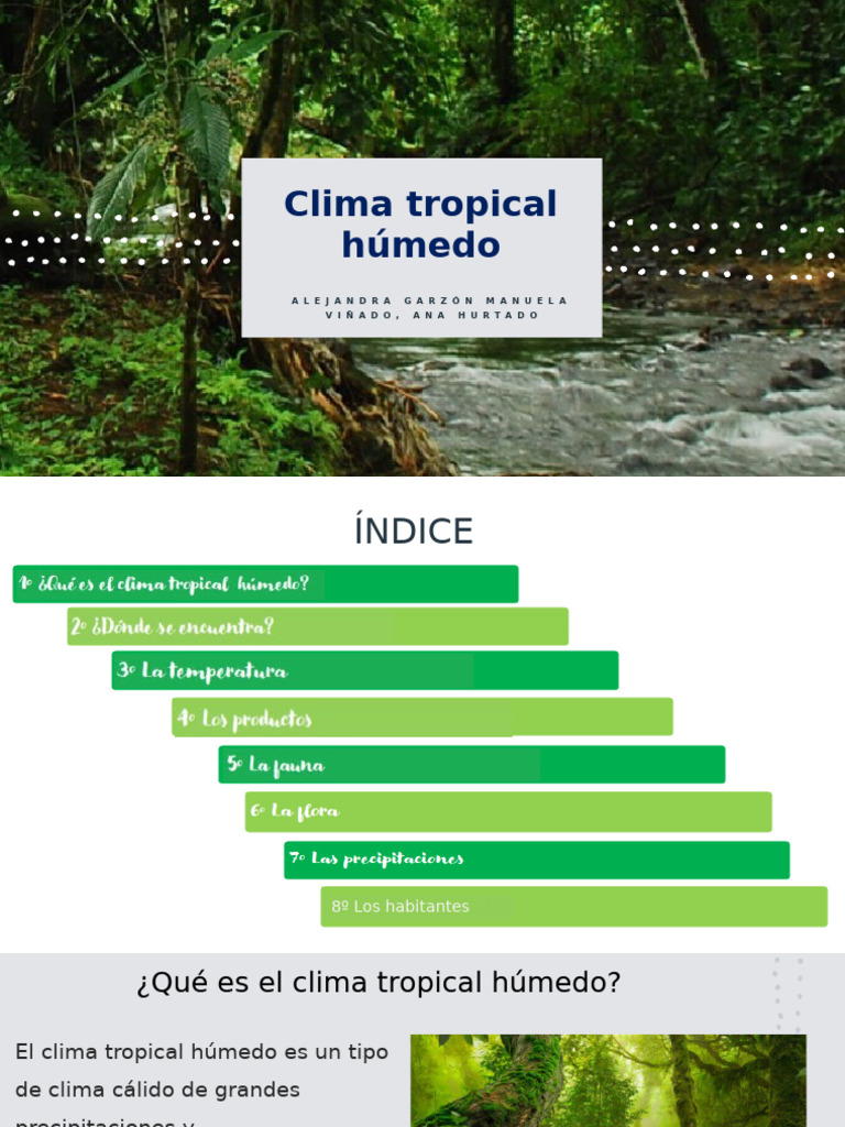 Clima Tropical Húmedo P | PDF | Geografía Física | Entorno natural