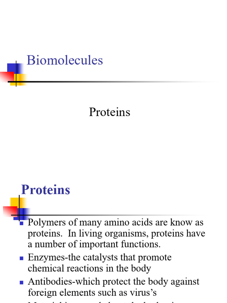 Overview of Biochemistry of Proteins | PDF | Beta Sheet | Protein Structure