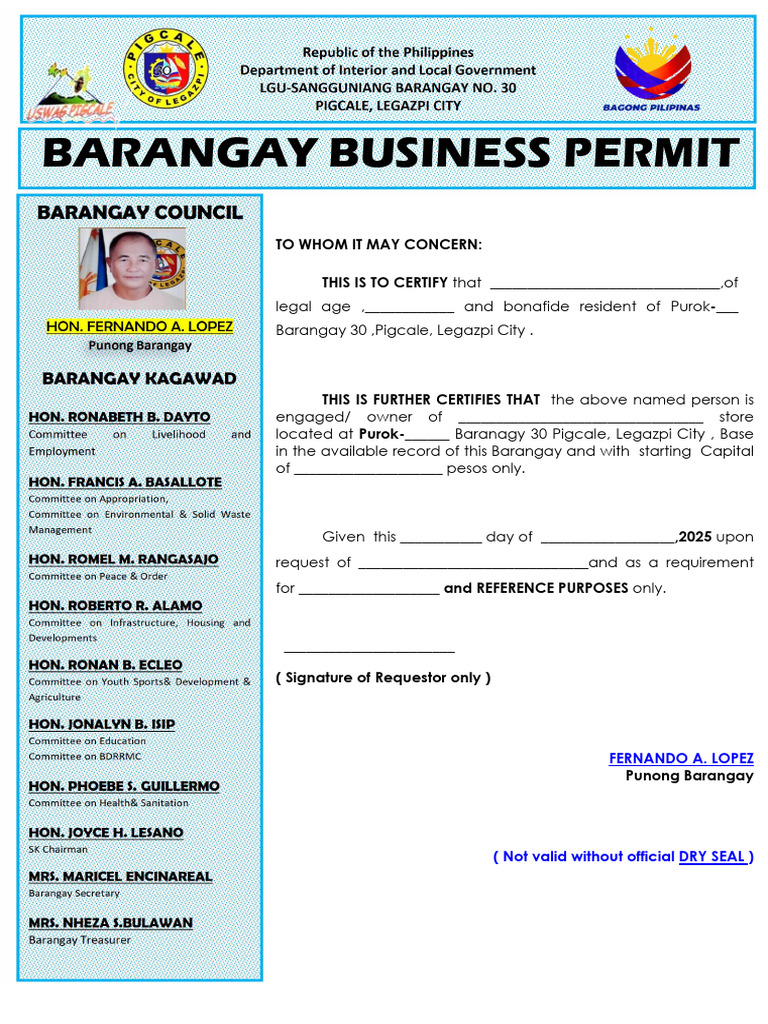 Pasay City Business Permit 2025 | PDF