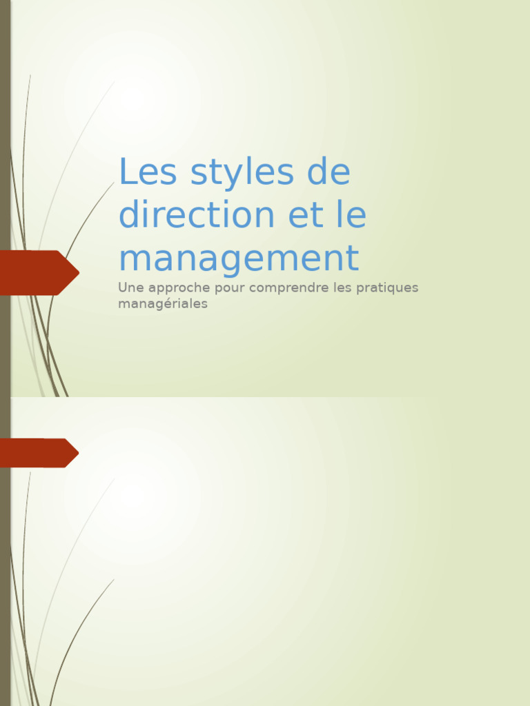Styles_de_Direction_et_Management_Design_Bleu | PDF