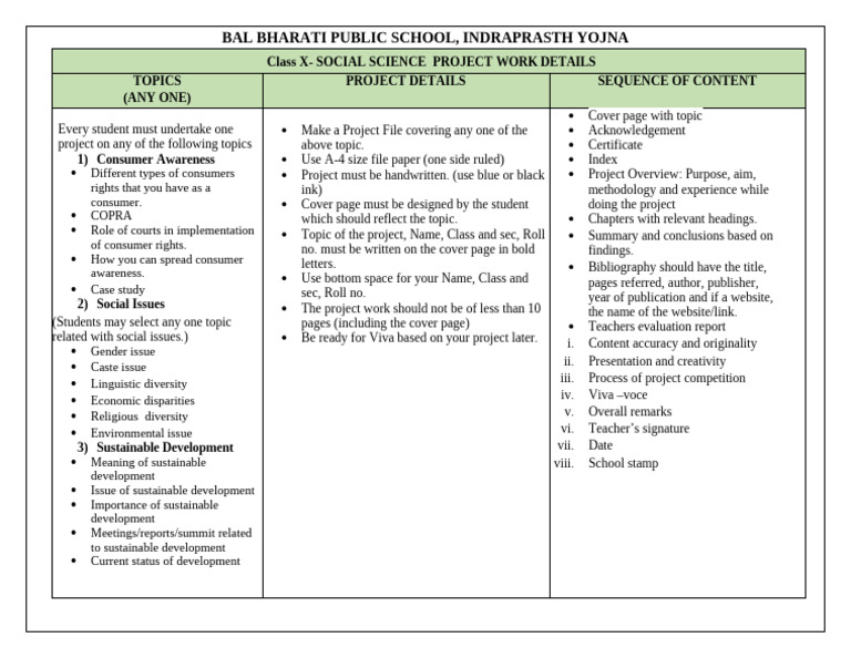 Class X Social Science Project Guide | PDF