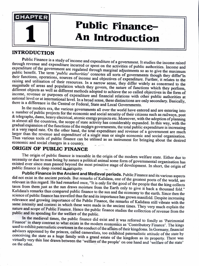 Public Finance | PDF