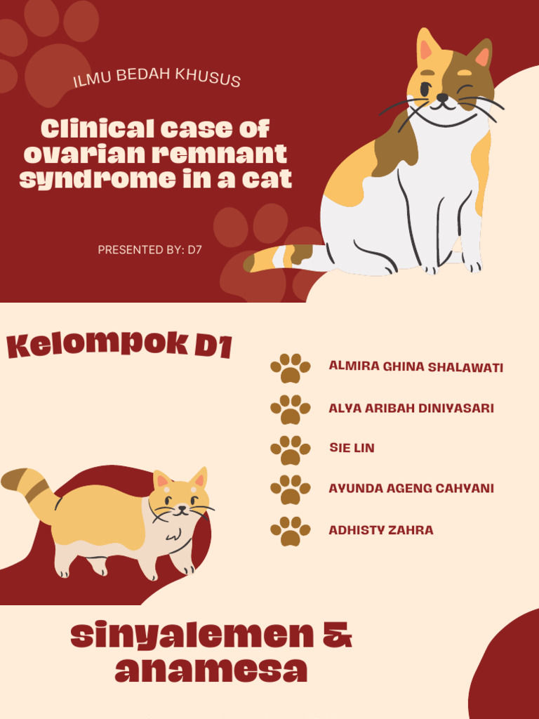 Ovarian Remnant Syndrome pada Kucing | PDF