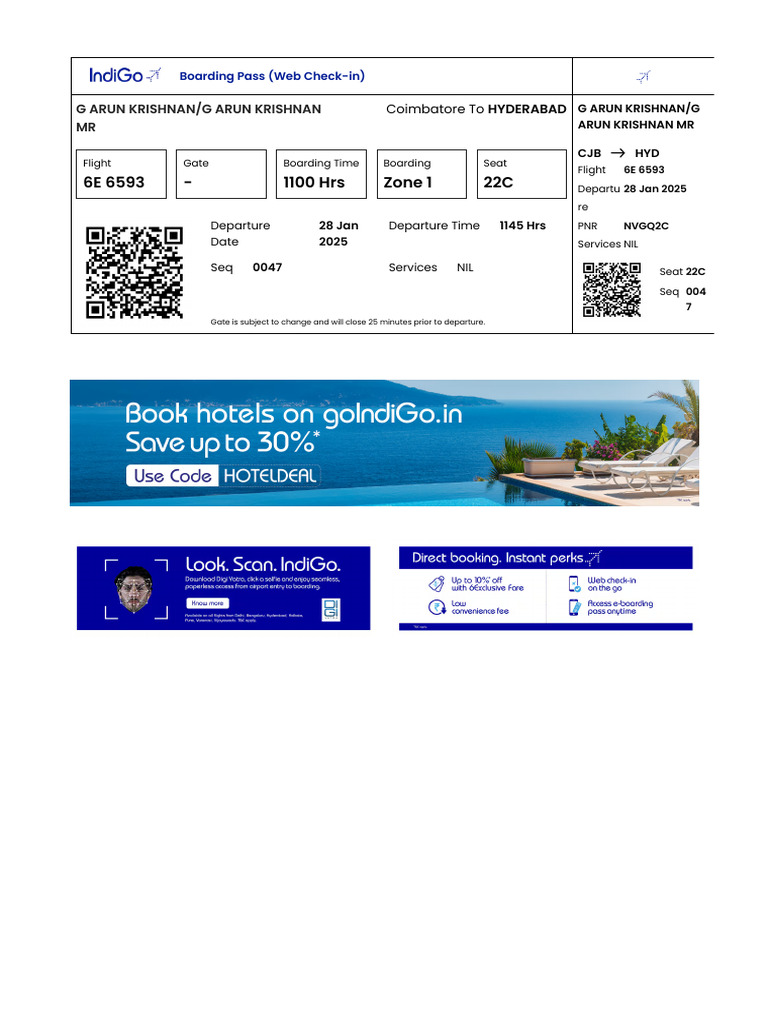 Boarding Pass 1 | PDF
