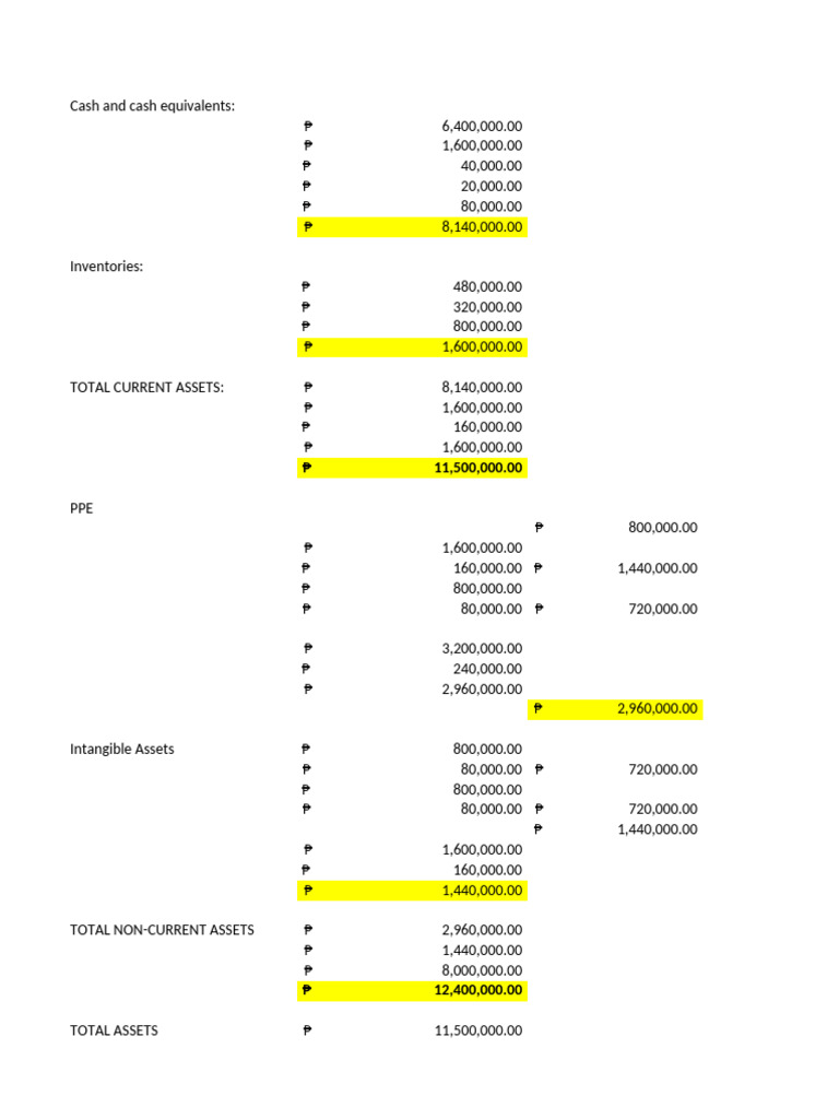 Solutions Balance Sheet Assignment | PDF