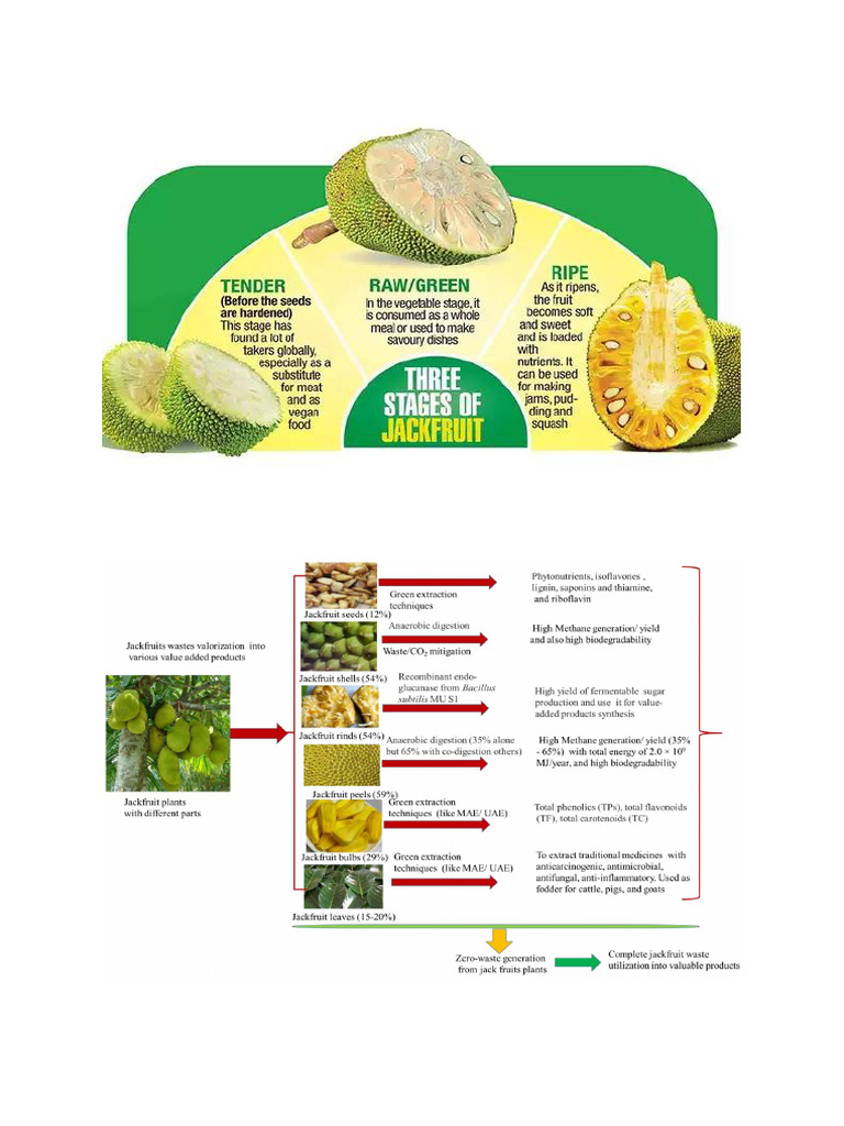 Case Study Bst | PDF