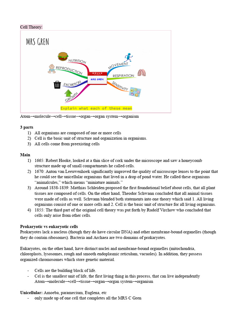 Cell Structure Test Study Guide | PDF | Meiosis | Cell (Biology)