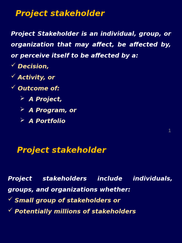 Comprehensive Guide to Project Stakeholders | PDF | Communication ...