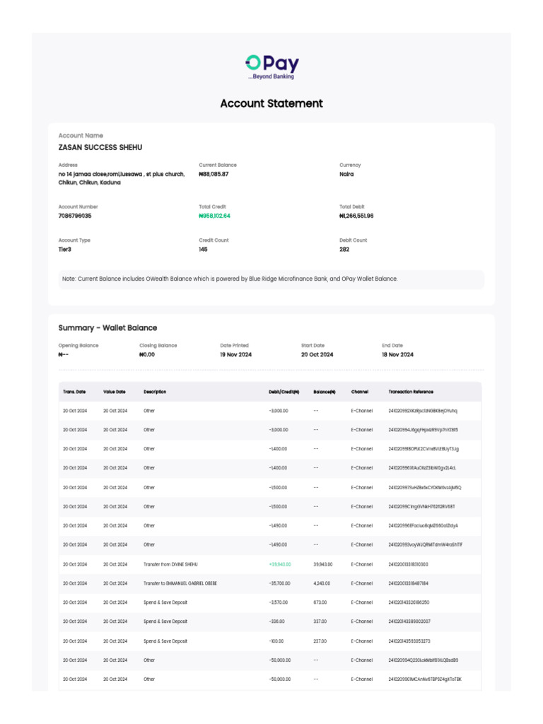 Zasan Success Shehu - 7086796035 - 20241119113130 | PDF | Debits And ...