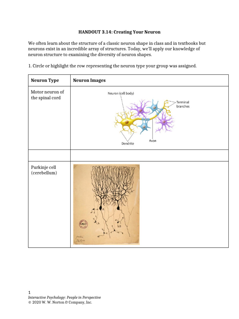 (Week 3) Module of A Neuron Activity Worksheet | PDF