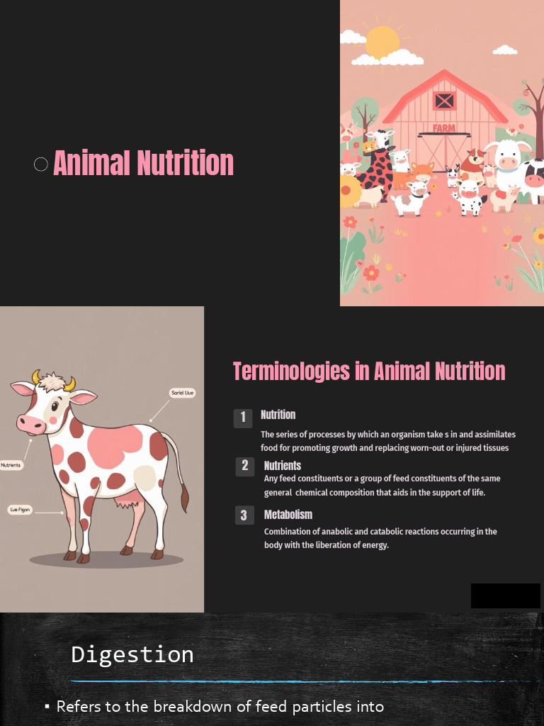 Key Concepts in Animal Nutrition | PDF | Nutrients | Nutrition