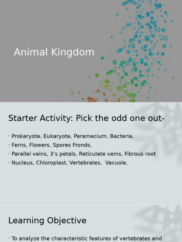 Animal Kingdom | PDF | Arthropods | Zoology