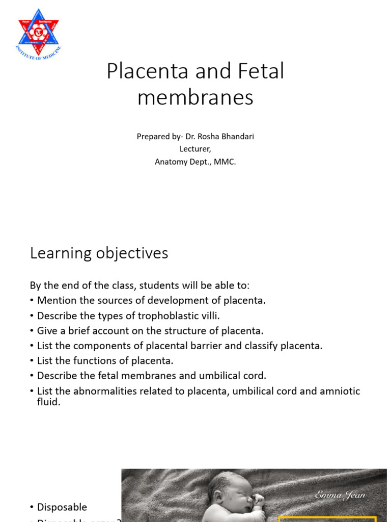 Placenta and Fetal Membranes Overview | PDF | Placenta | Fetus