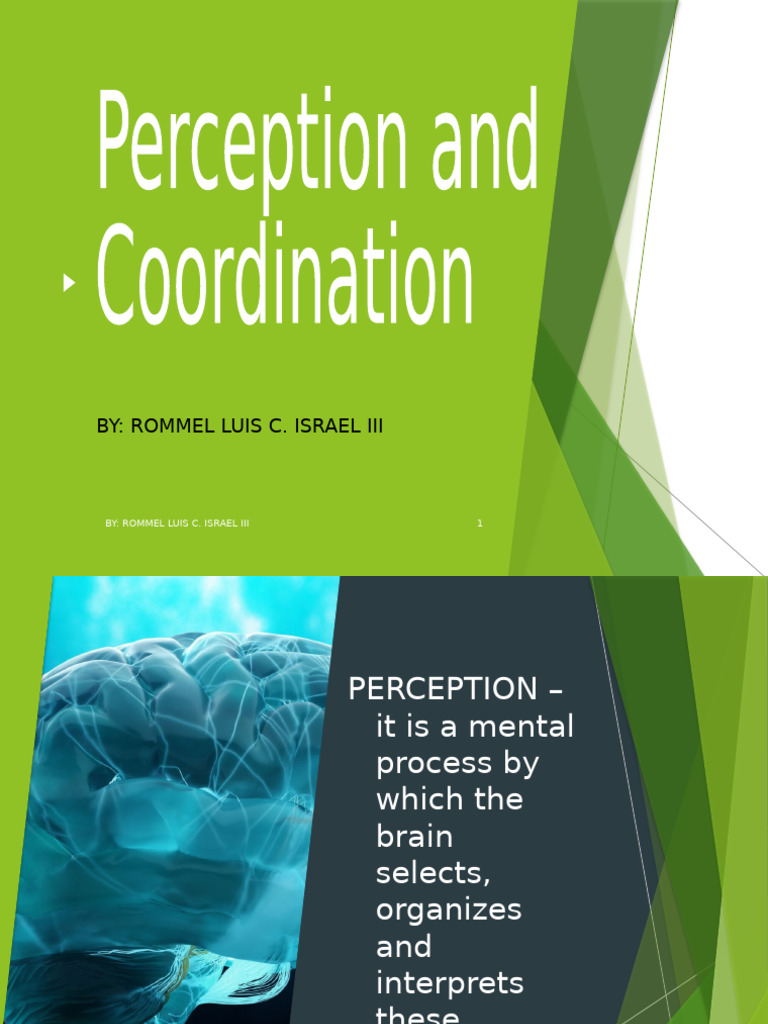 Understanding Sensory Perception | PDF | Cerebrospinal Fluid | Senses