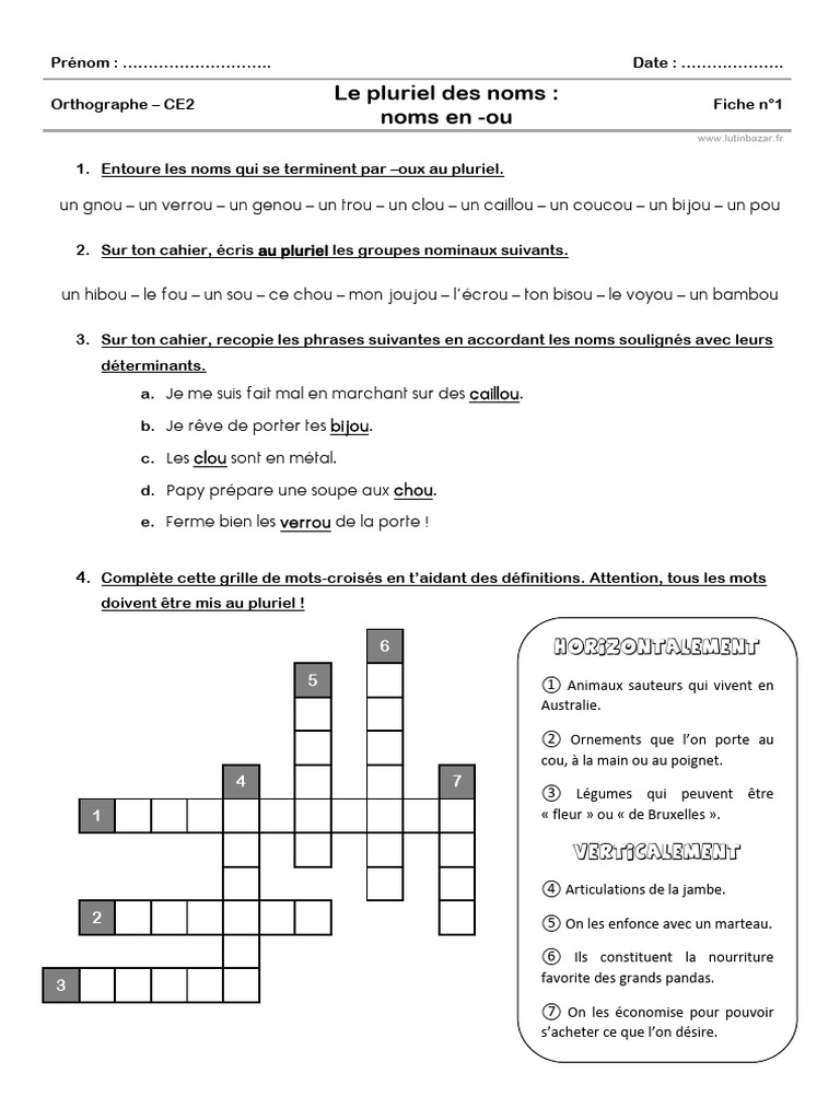 Pluriel des noms en -ou pour CE2 | PDF