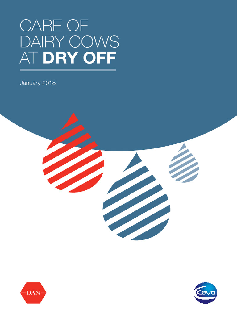 CEV - GL - Care of Dairy Cows at Dry Off | PDF | Dairy | Dairy Cattle