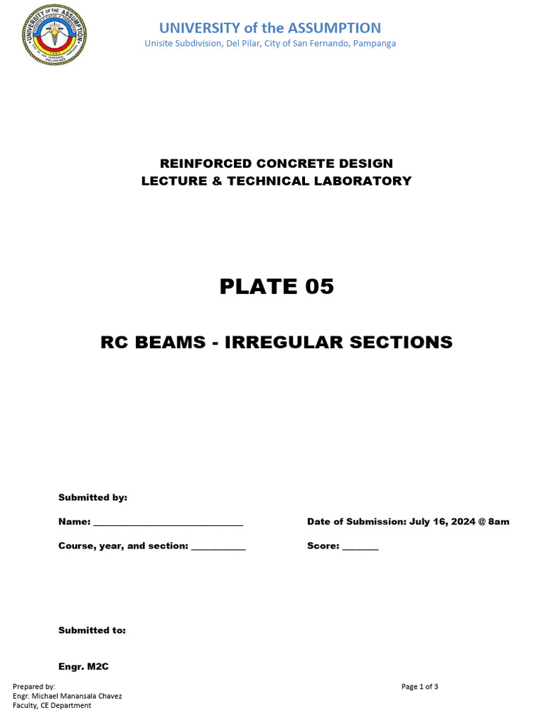 Plate Irreg Bms 071624 | PDF | Reinforced Concrete | Stress (Mechanics)