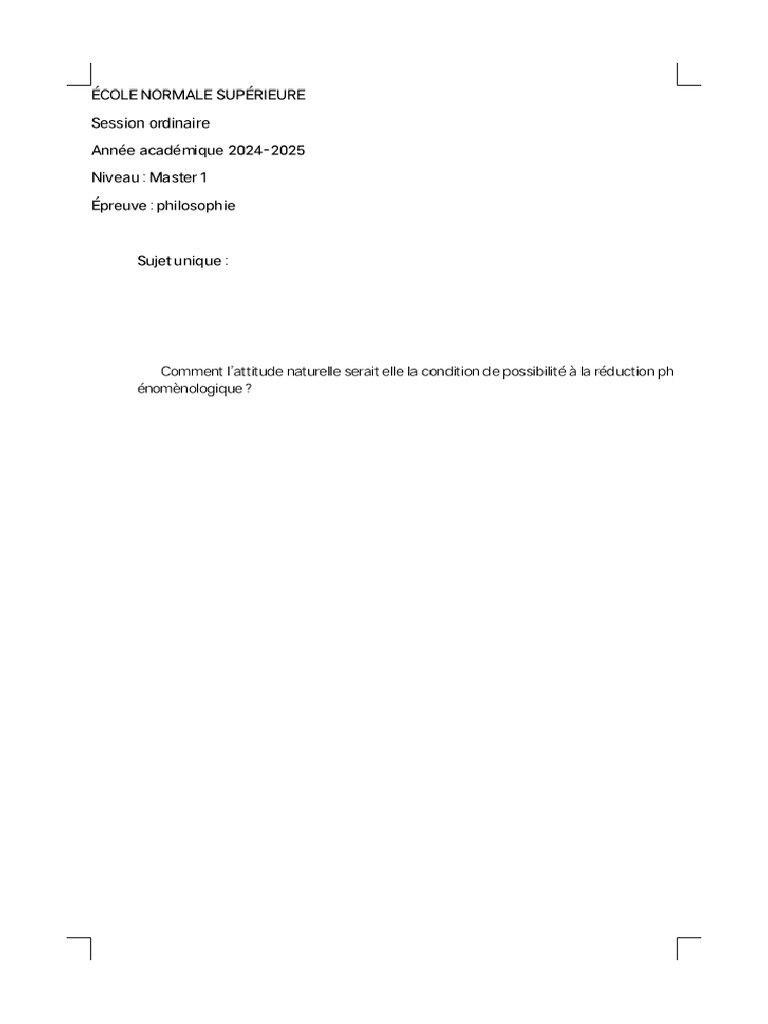 Document Phoenix | PDF