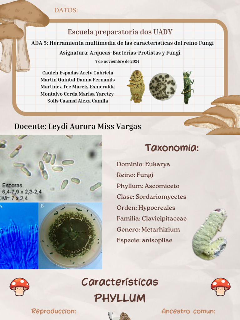 Metarhizium anisopliae | PDF | Hongo | Micología