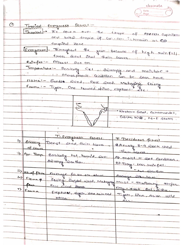 Class 9 Geography Notes | PDF
