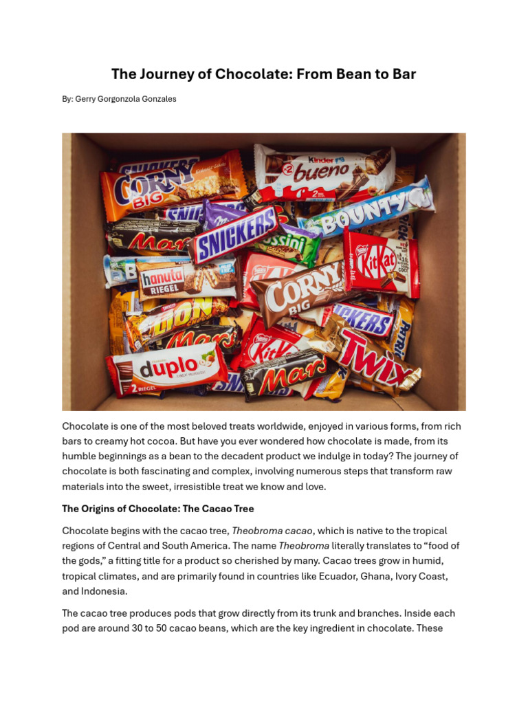 The Chocolate Journey: Bean to Bar | PDF | Chocolate | Cocoa Bean