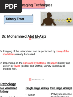 CT Urography: Techniques & Protocols | PDF | Ct Scan | Kidney