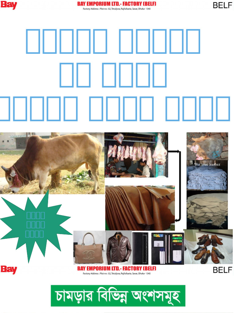 Cutting Section | PDF