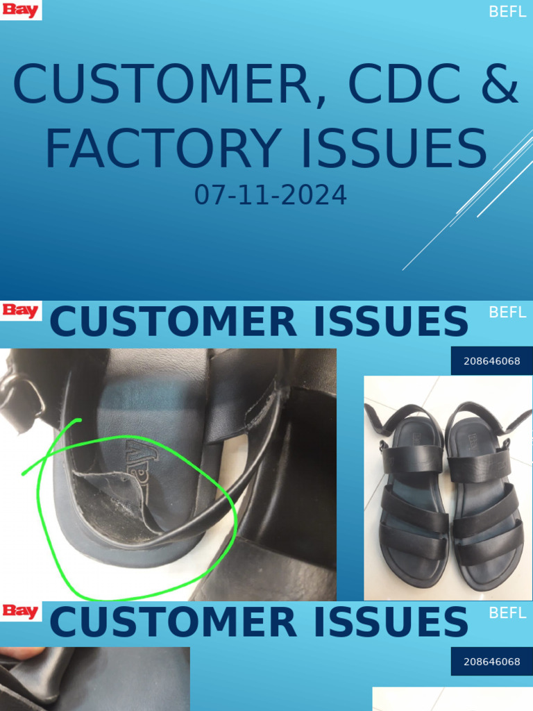 Customer, CDC & Factory 07-11-2024 | PDF