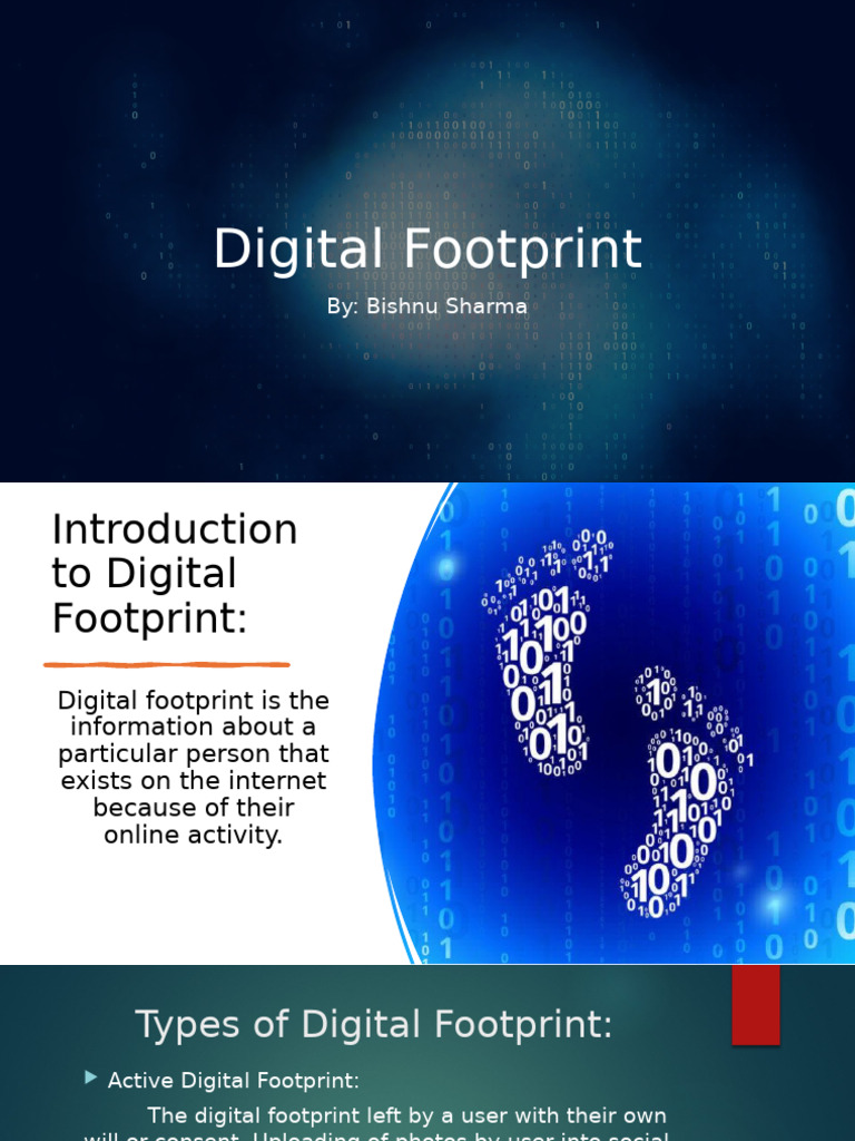 Digital Footprint | PDF