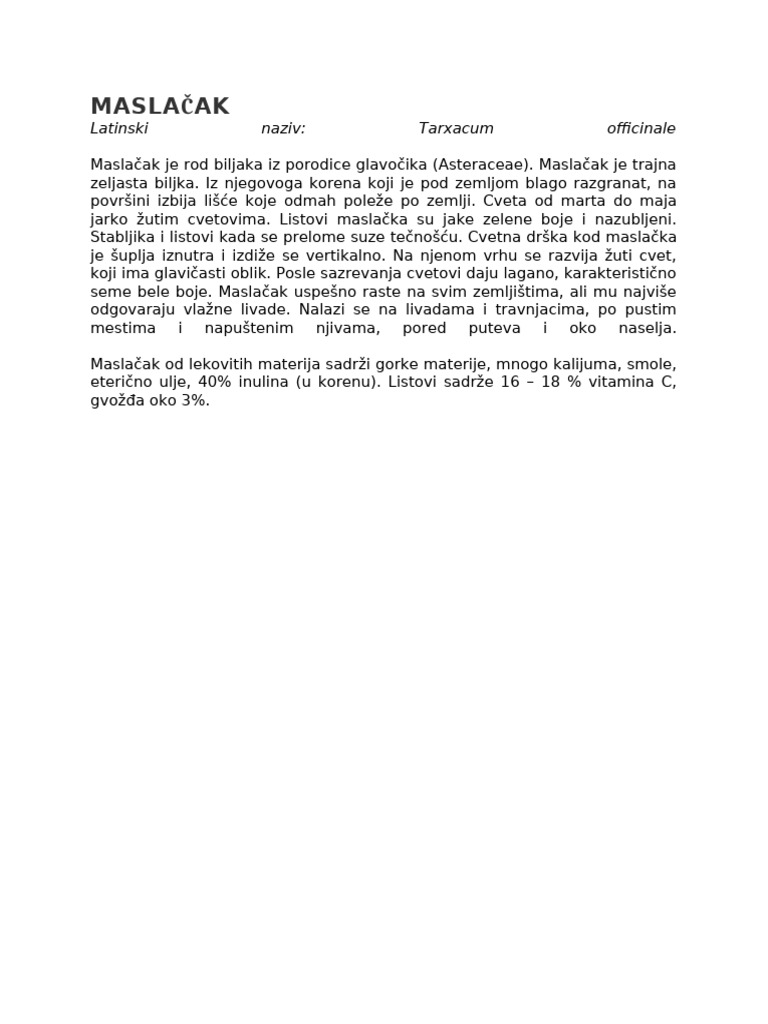 Maslačak | PDF
