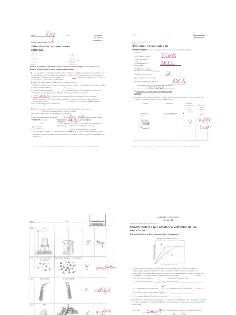 Clave de Fichas de Tasas de Reacciones Químicas | PDF | Catálisis | Reacciones químicas