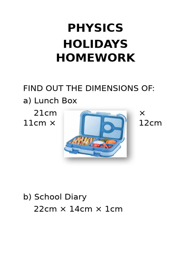 Physics Holidays Homework | PDF