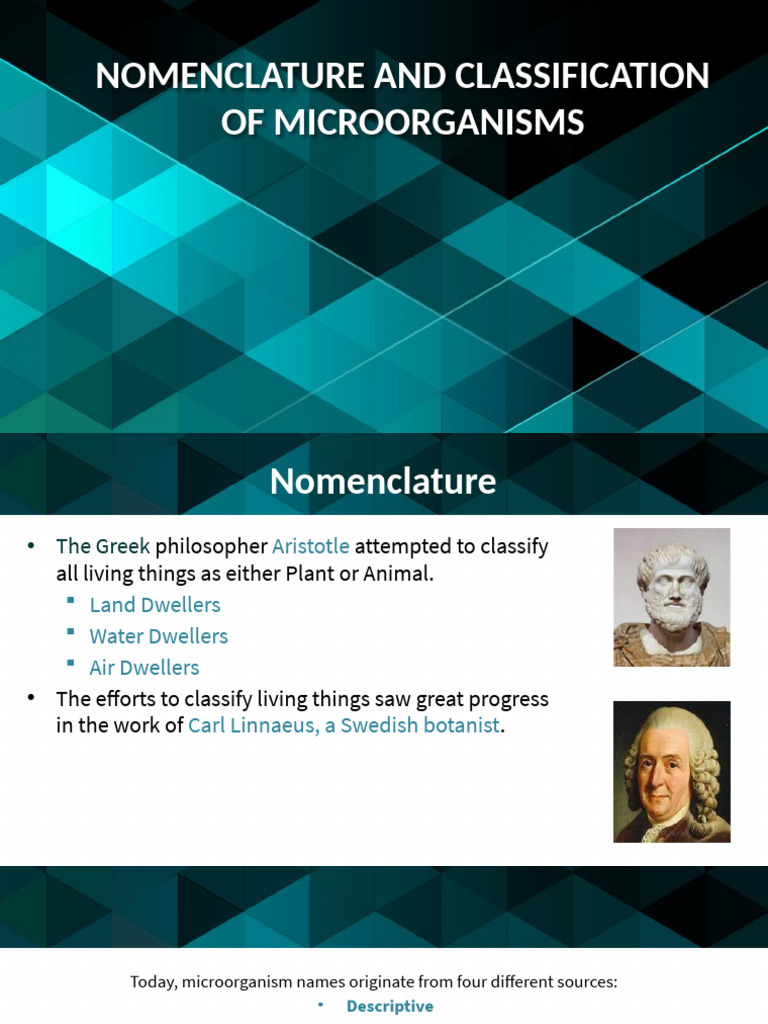 PHMD202 Nomenclature and Classification of Microorganisms 157997 | PDF ...