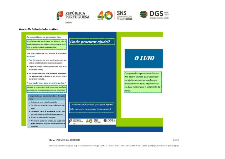 Folheto DGS_Luto-1 | PDF