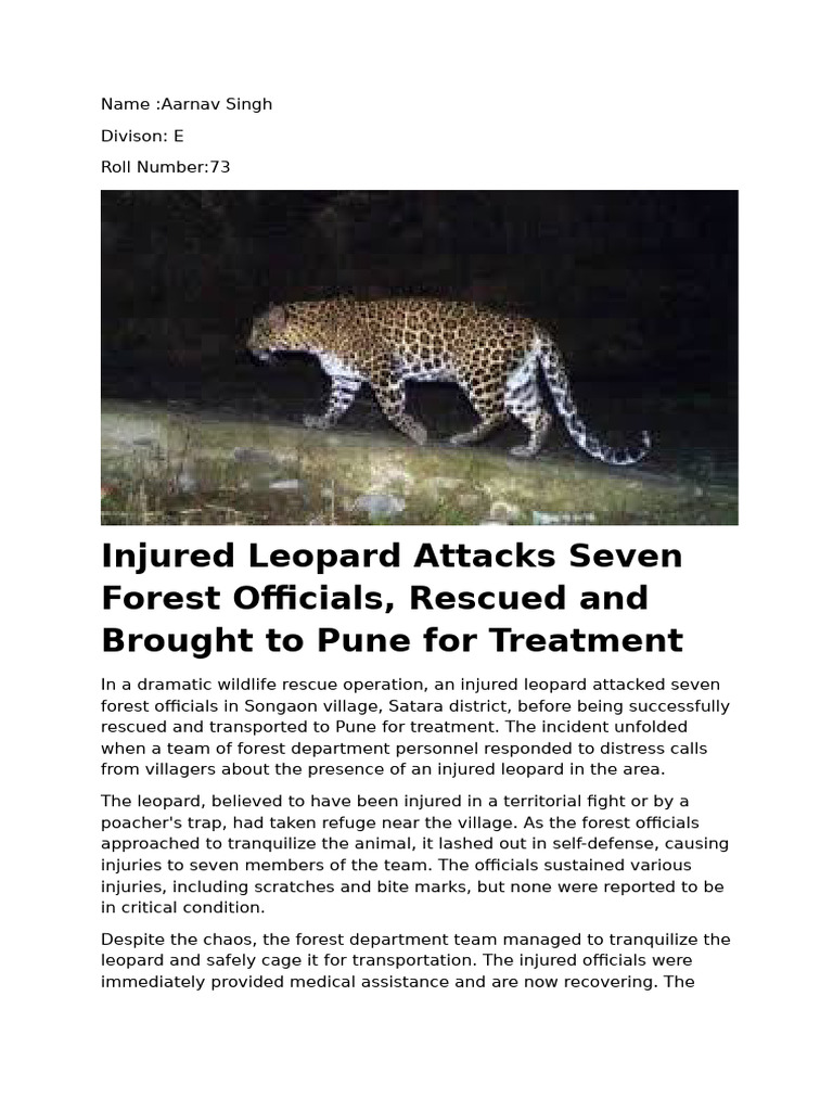 Leopard | PDF