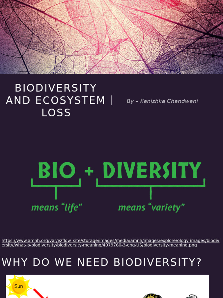 Biodiversity and Ecosystem Loss | PDF | Ecosystem | Biodiversity