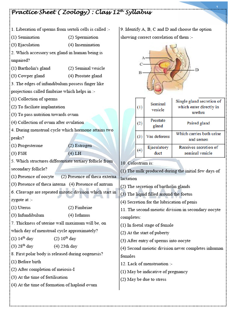 Class 12 Zoology at A Glance | PDF | Menstrual Cycle | Biology