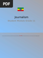 Different Types of Beats in Journalism | PDF