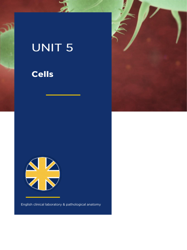 LBAP - Unit 5 | PDF
