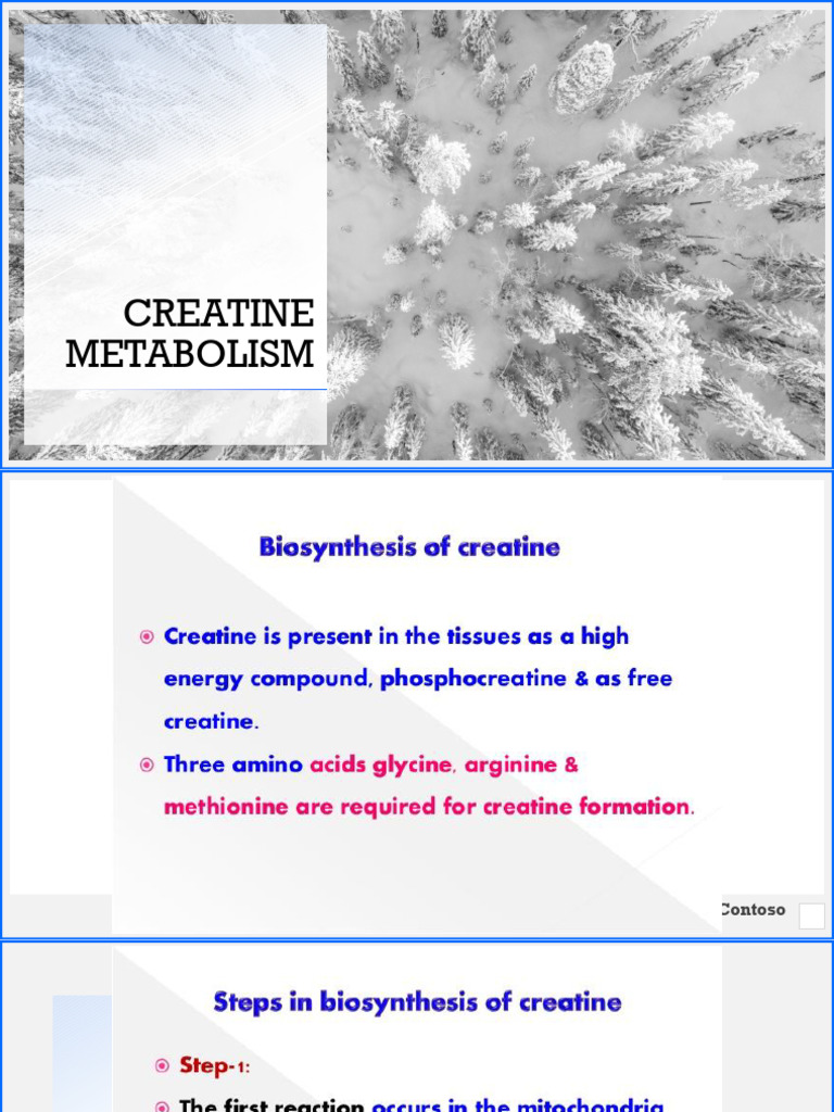 3 Creatine Metabolism | PDF