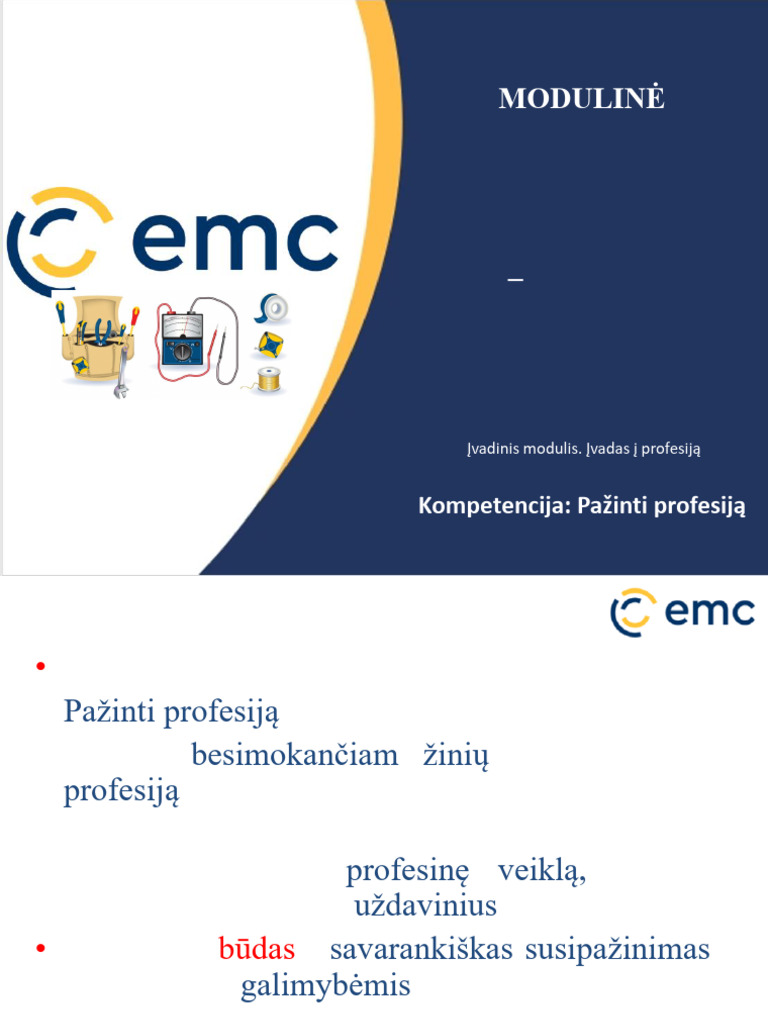 Įvadinis modulis. Įvadas į profesiją | PDF