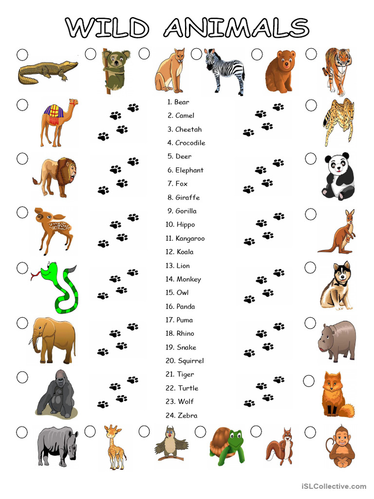 WILD ANIMALS - Matching | PDF