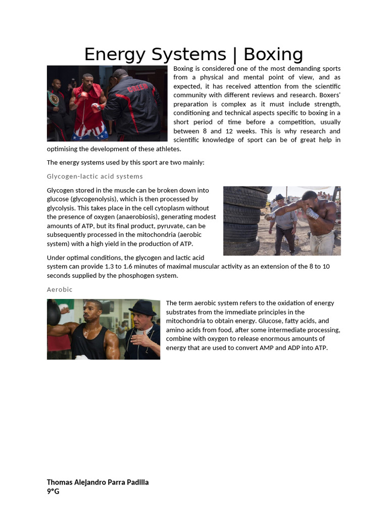 Energy Systems Boxing | PDF